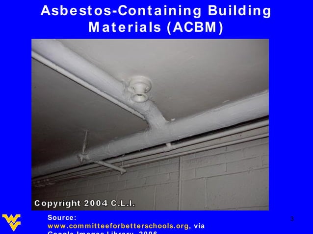 Asbestos in Buildings and Health Effects | PPT | Lung and Respiratory ...