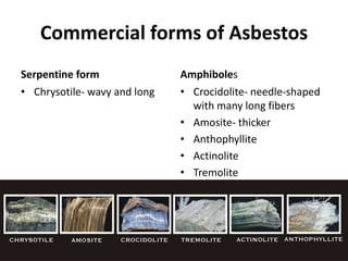 Asbestos related lung disease | PPTX
