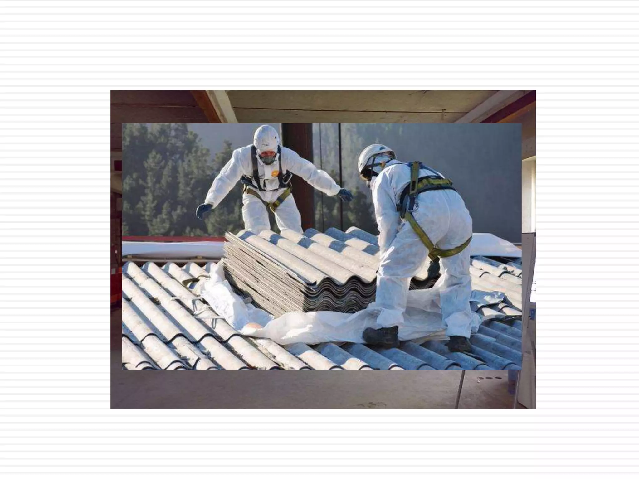 Asbestos removal melbourne | PPTX