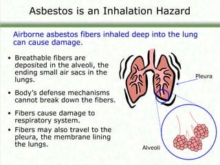 Asbestos | PPT