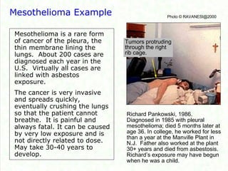 Asbestos | PPT