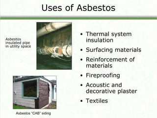 Asbestos | PPT