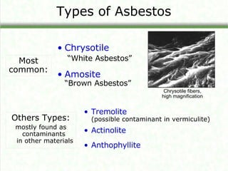 Asbestos | PPT