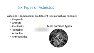 Asbestos Hazards Awareness in Construction.pptx