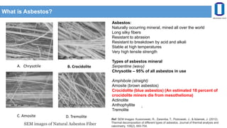 Asbestos bodies formation studies in human lung | PPT