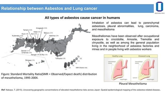 Asbestos bodies formation studies in human lung | PPT