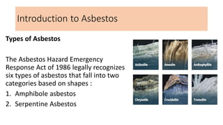 Asbestos disease | PDF