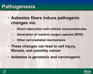 asbestos_grem.ppt