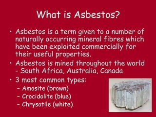 Asbestos Learning Tool | PPTX