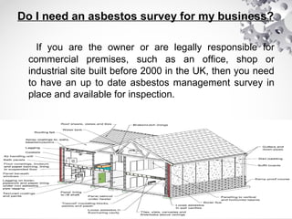 Asbestos surveys | Easy EPC | PPT