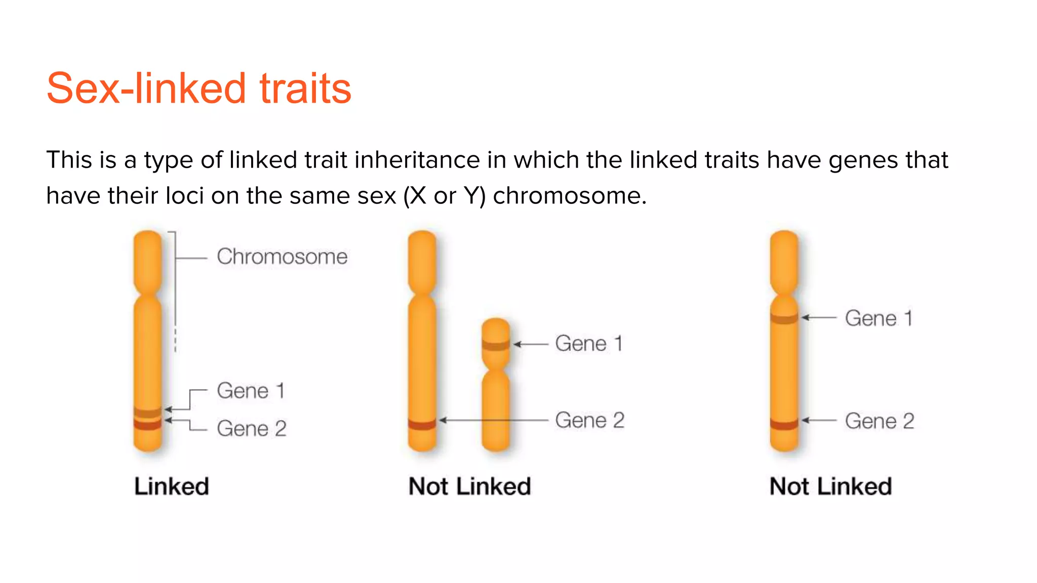 Non-Mendelian Inheritance | PPTX
