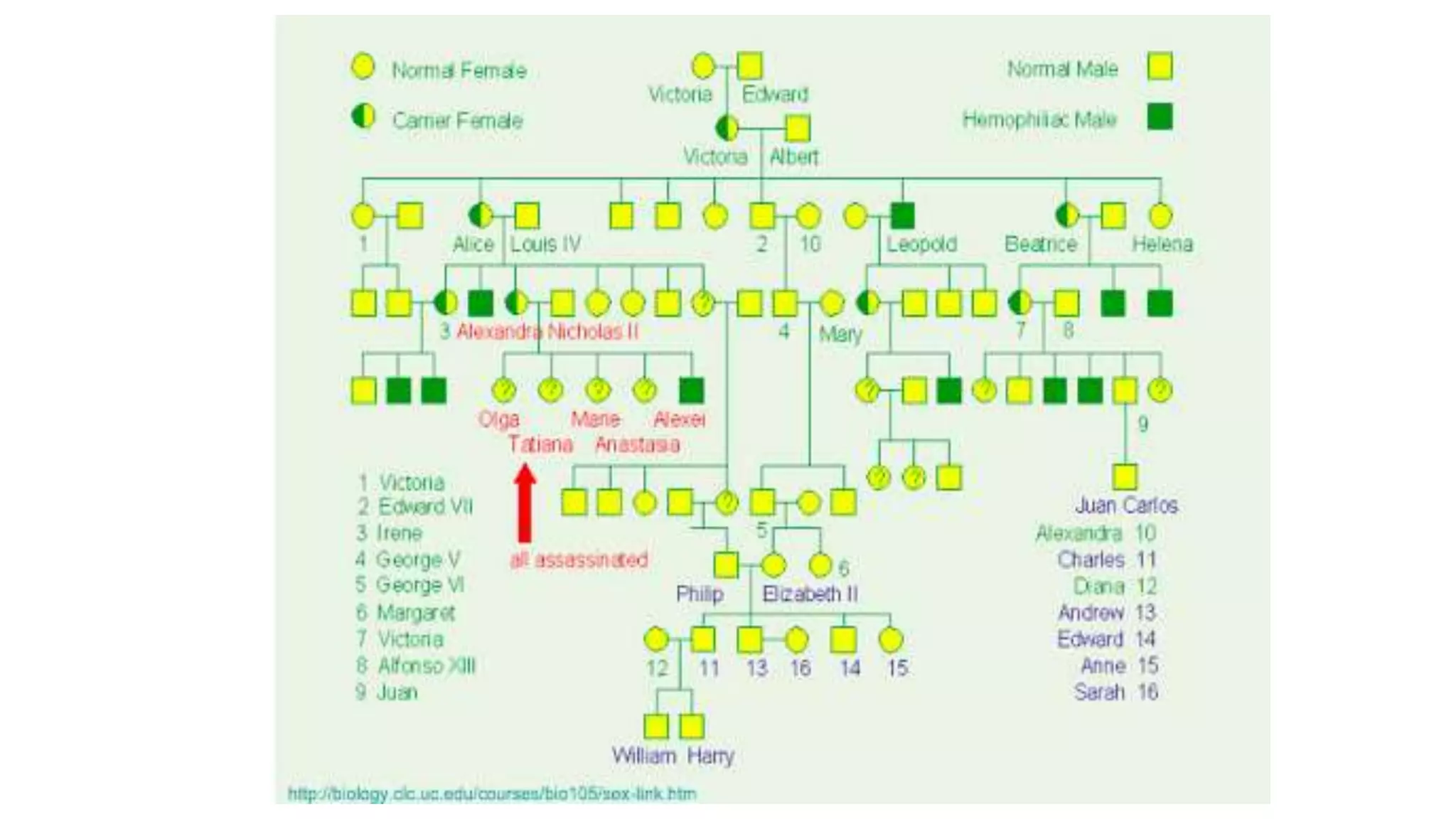 Non-Mendelian Inheritance | PPTX