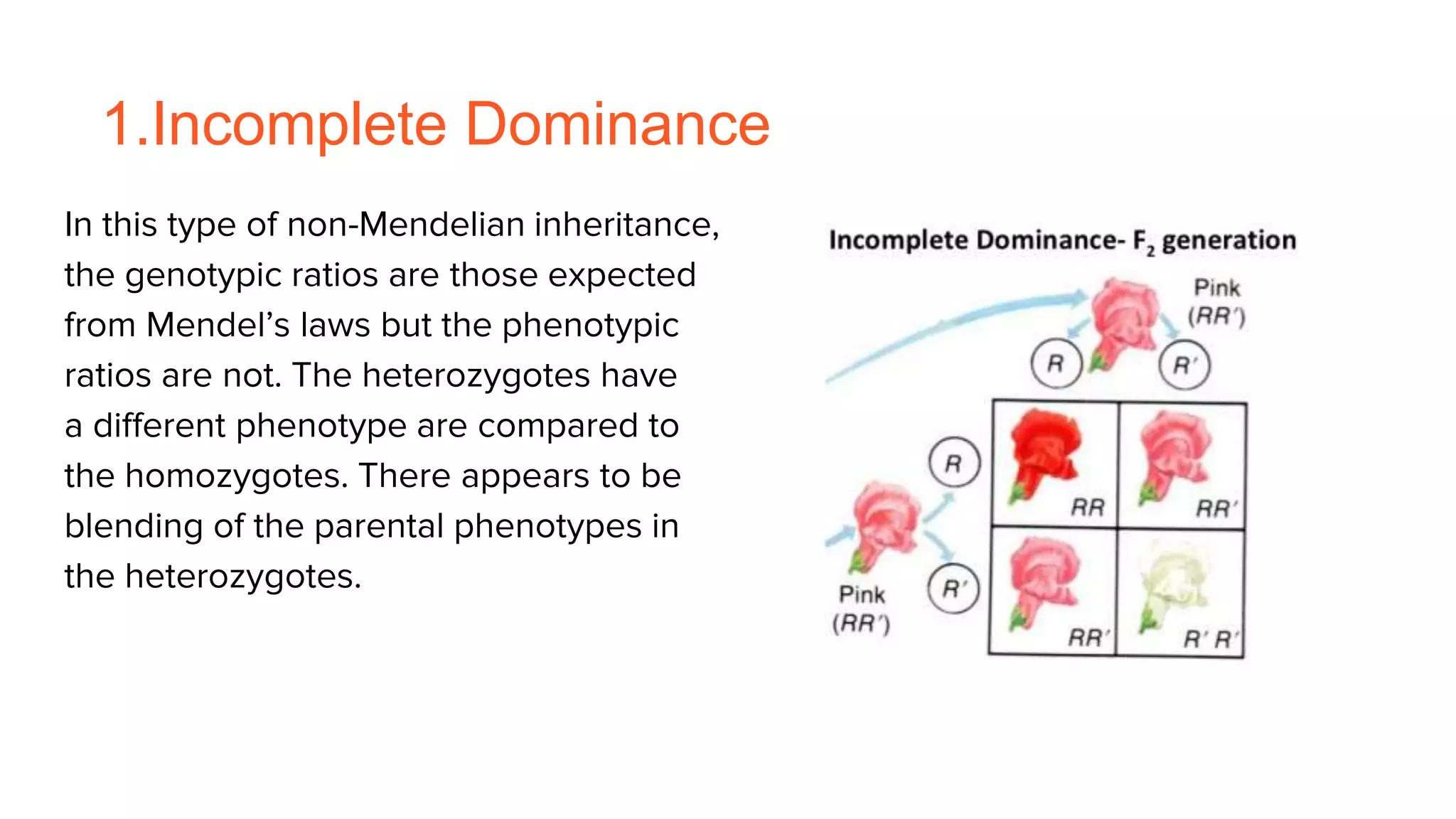 Non-Mendelian Inheritance | PPTX