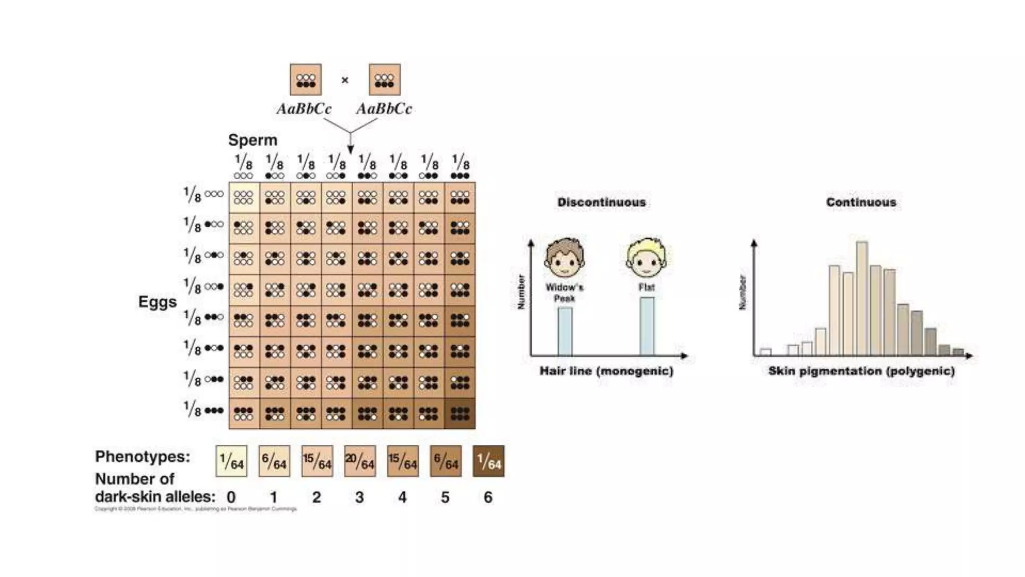 Non-Mendelian Inheritance | PPTX
