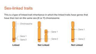 Non-Mendelian Inheritance | PPTX
