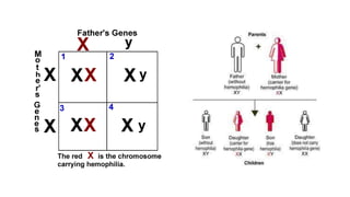 Non-Mendelian Inheritance | PPTX | Blood Disorders | Diseases and ...
