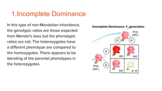 Non-Mendelian Inheritance | PPTX