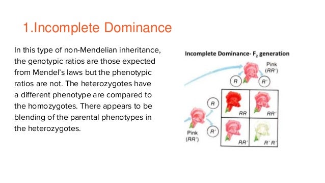 Non-Mendelian Inheritance
