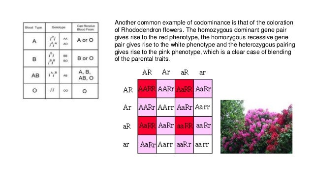 Non-Mendelian Inheritance