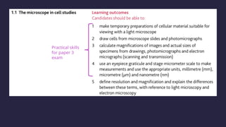 As Bio Cambridge Ch1 cell structure 2025.pptx