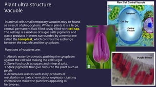 As Bio Cambridge Ch1 cell structure 2025.pptx