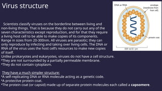 As Bio Cambridge Ch1 cell structure 2025.pptx