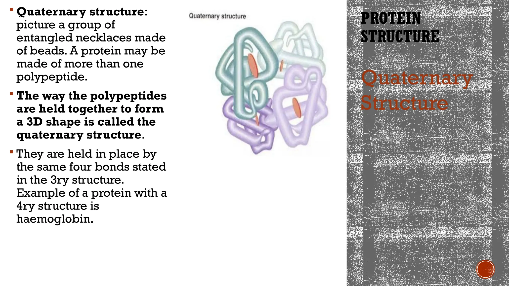 As Bio Cambridge Ch2 Biological molecules 2025.pptx