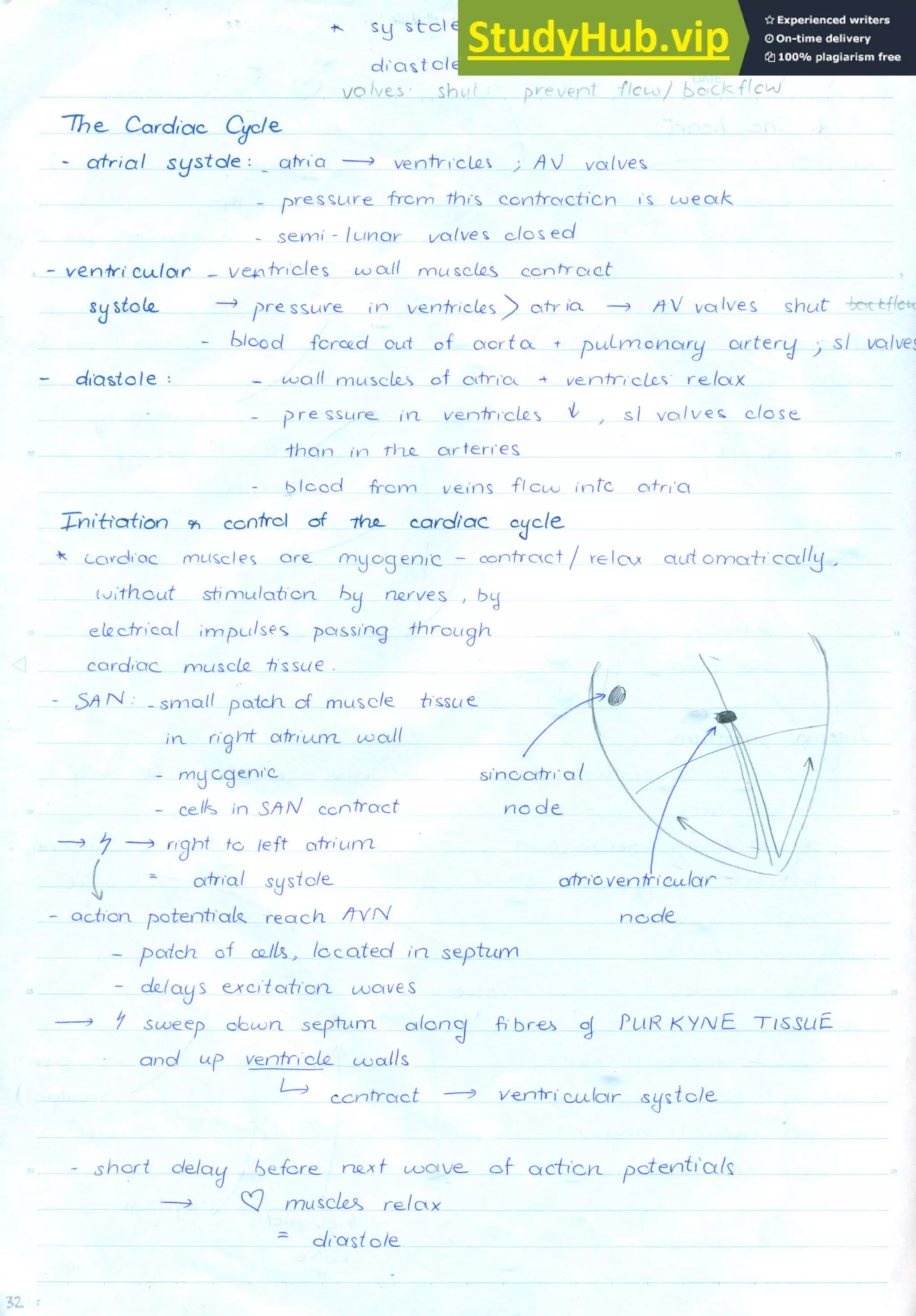 AS Biology All In One Handwritten Notes | PDF