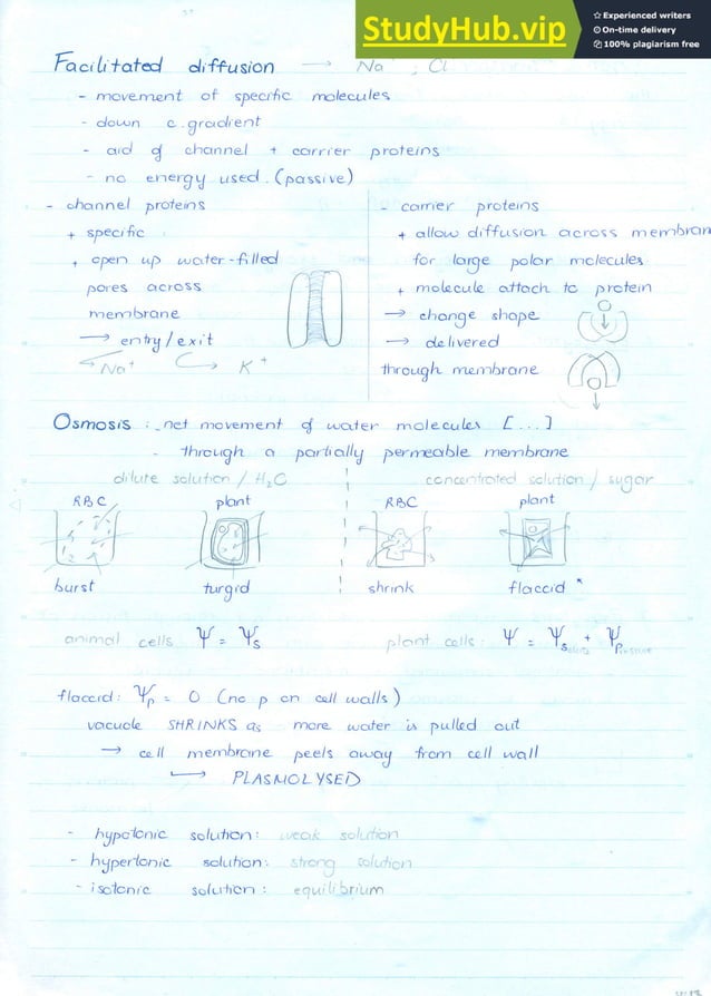 AS Biology All In One Handwritten Notes | PDF