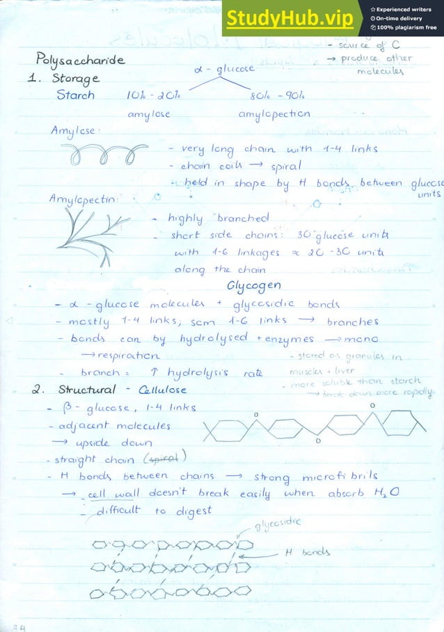 AS Biology All In One Handwritten Notes | PDF