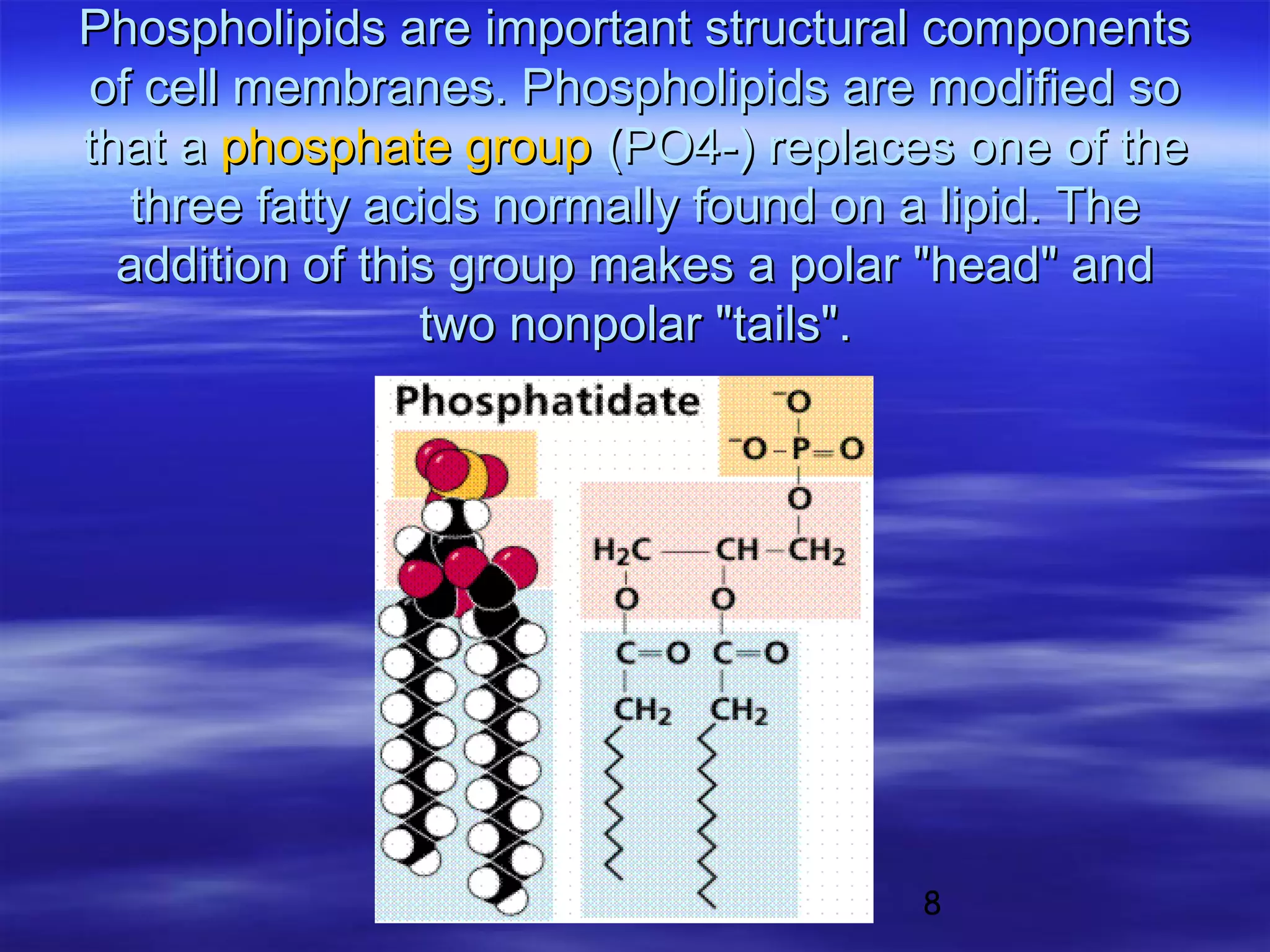 As biology cell membranes colstons | PPT