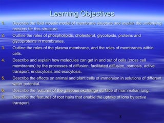 As biology cell membranes colstons | PPT