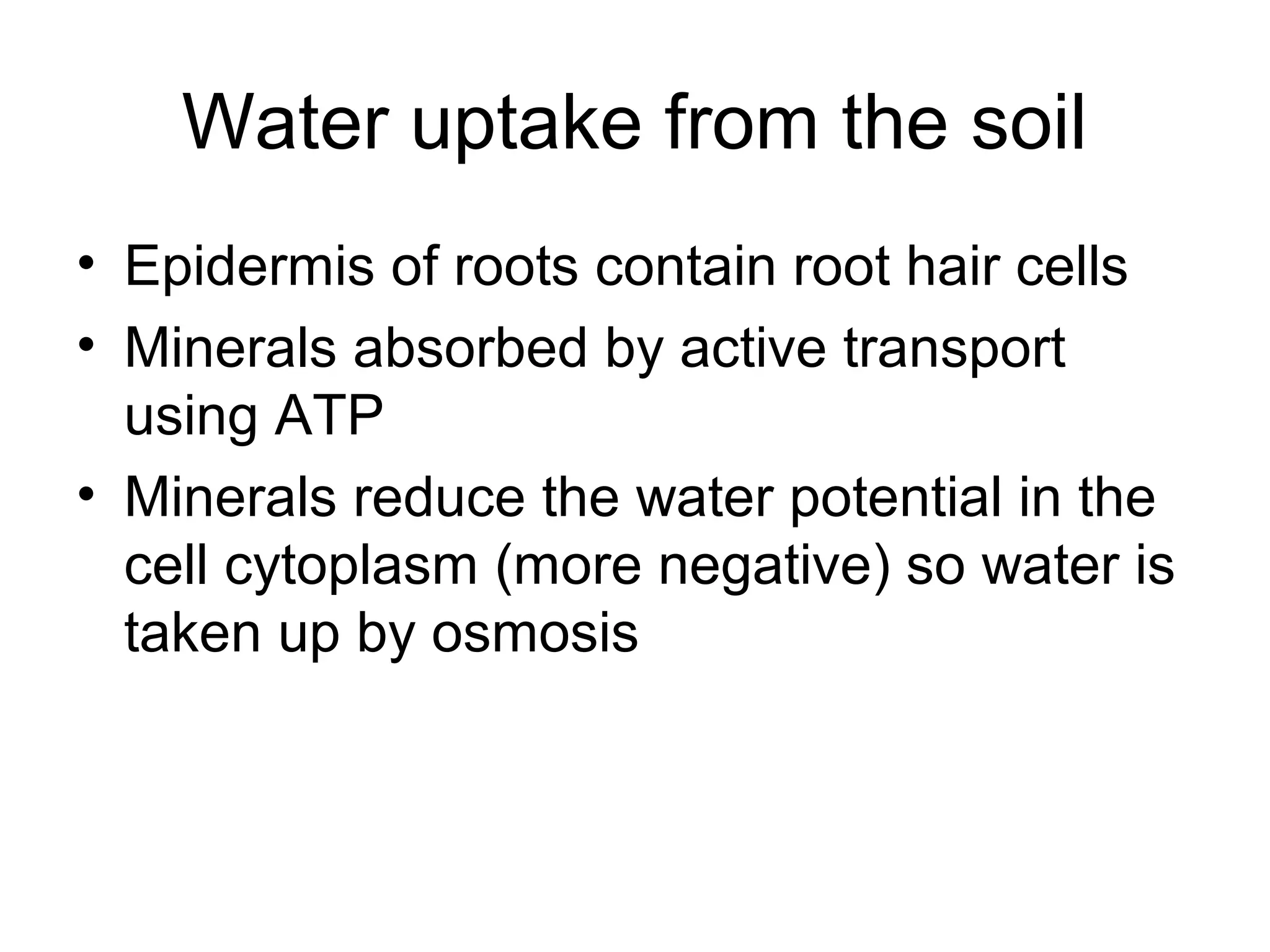 Cambridge AS Biology plant revision | PPT