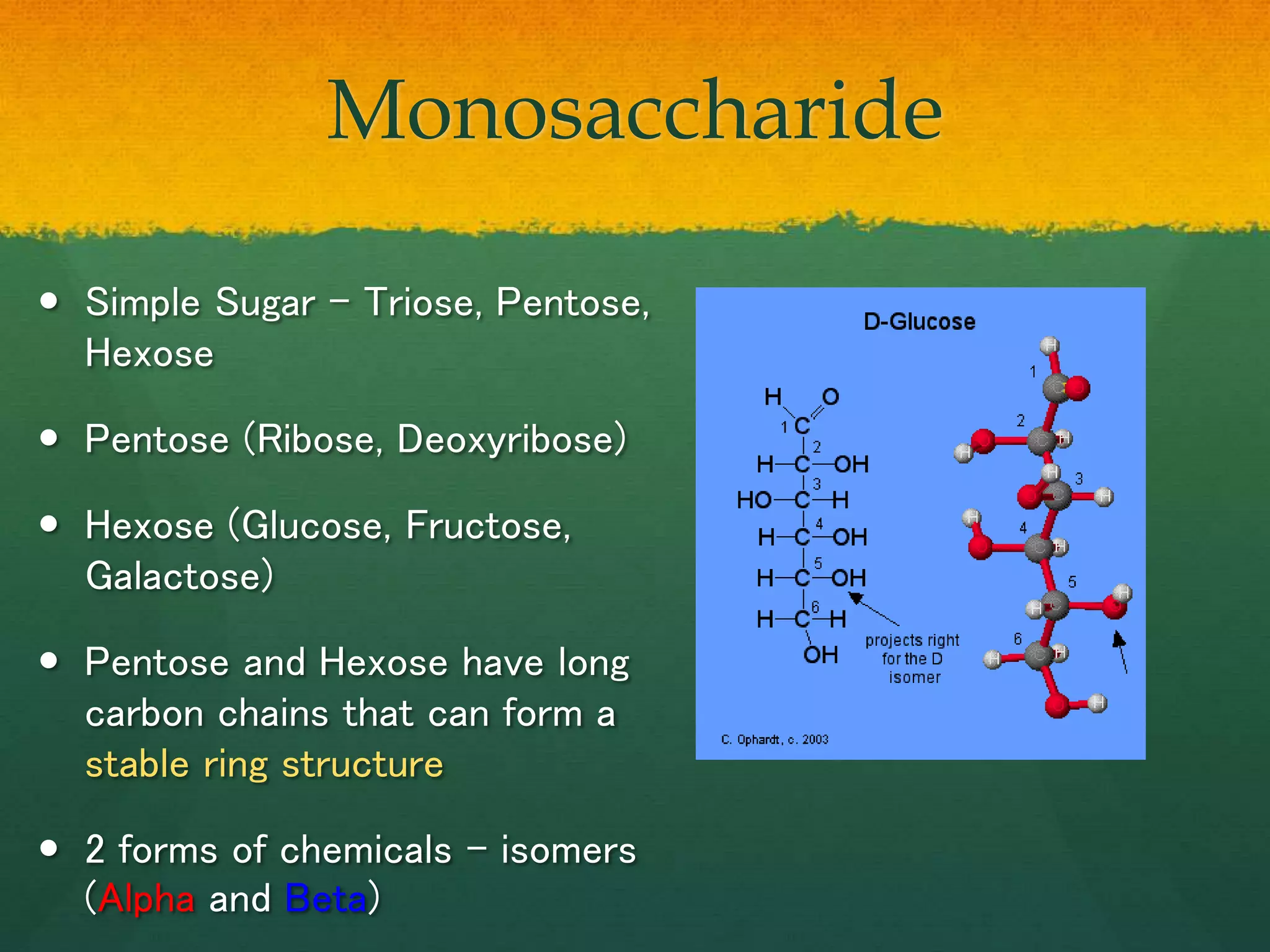 AS Level Biology - 1) Biological Molecules | PPTX