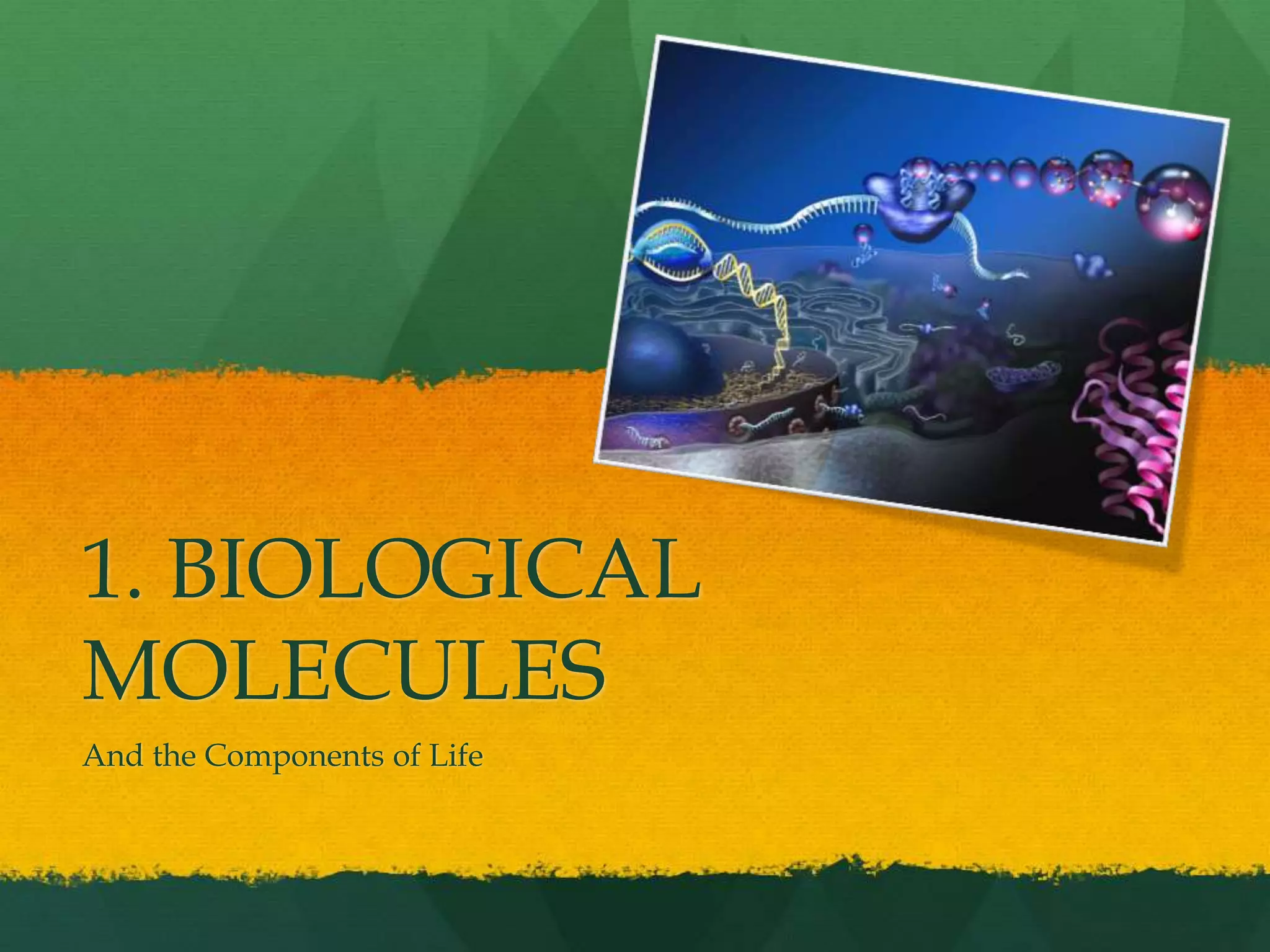 AS Level Biology - 1) Biological Molecules | PPTX