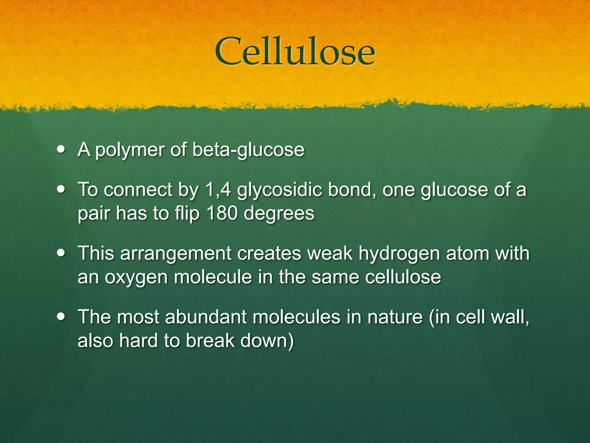 AS Level Biology - 1) Biological Molecules | PPTX