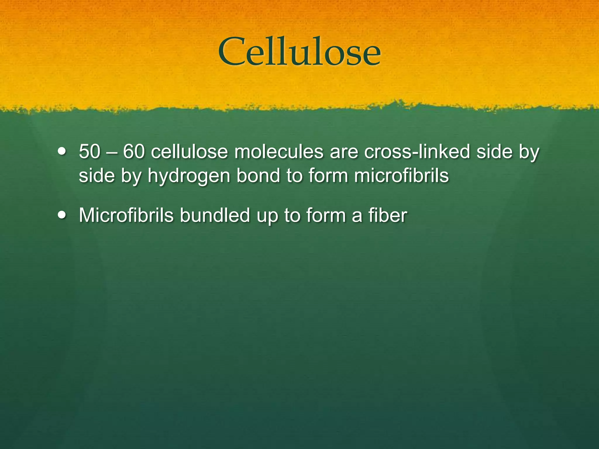 AS Level Biology - 1) Biological Molecules | PPTX