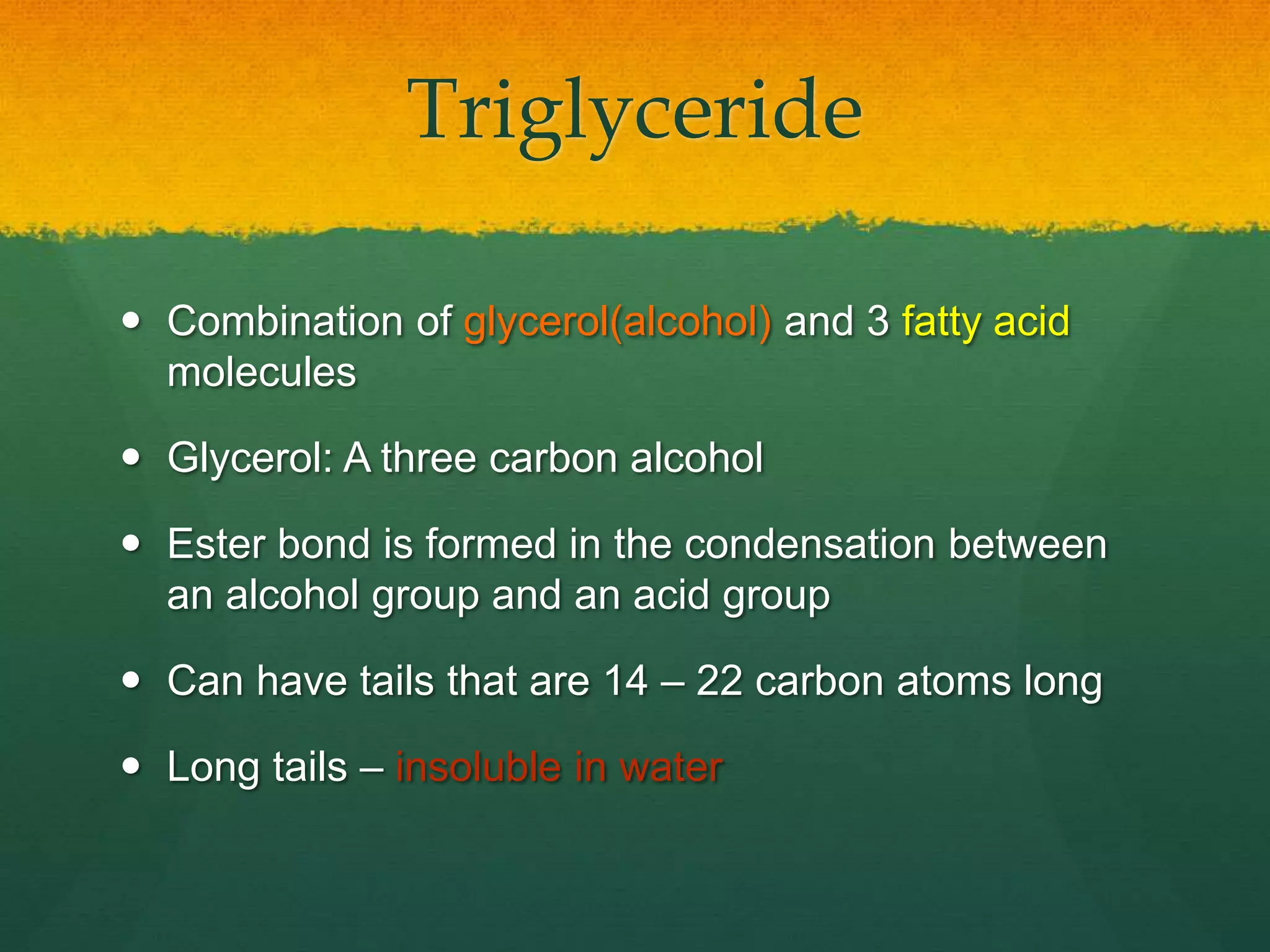 AS Level Biology - 1) Biological Molecules | PPTX