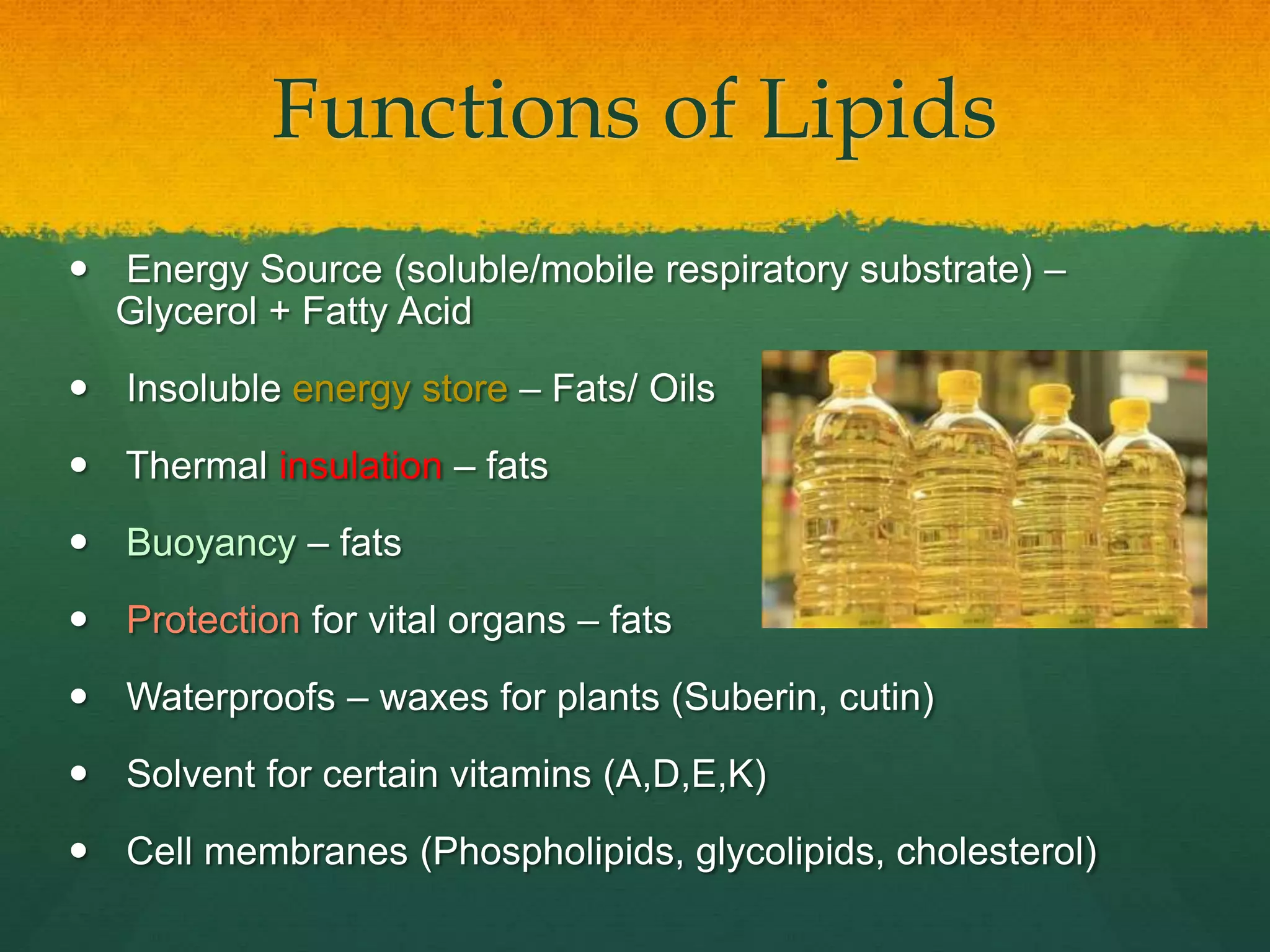 AS Level Biology - 1) Biological Molecules | PPTX