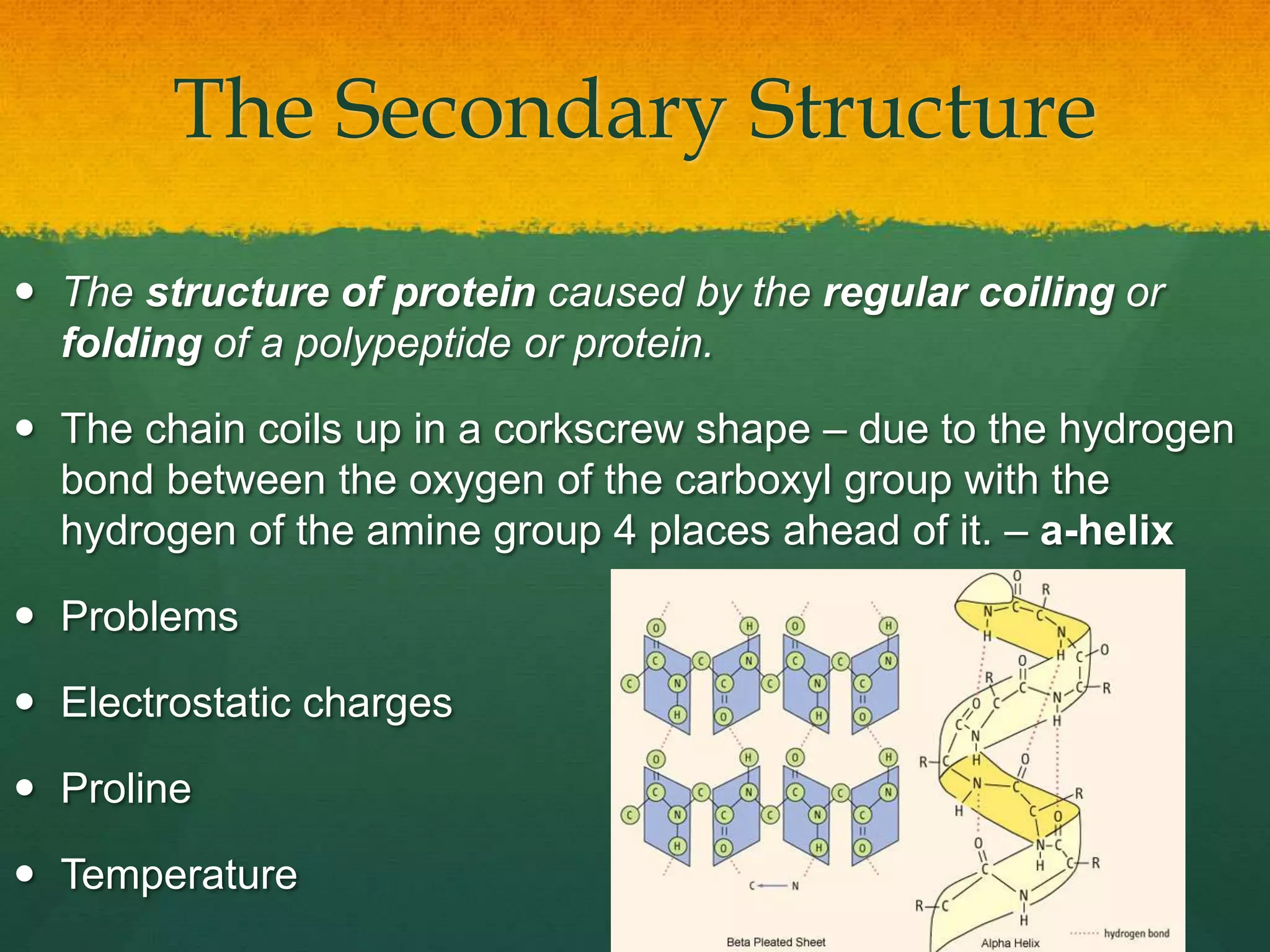 AS Level Biology - 1) Biological Molecules | PPTX