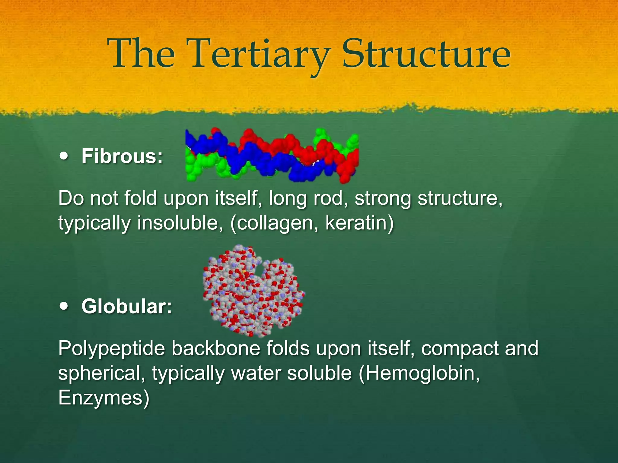 AS Level Biology - 1) Biological Molecules | PPTX