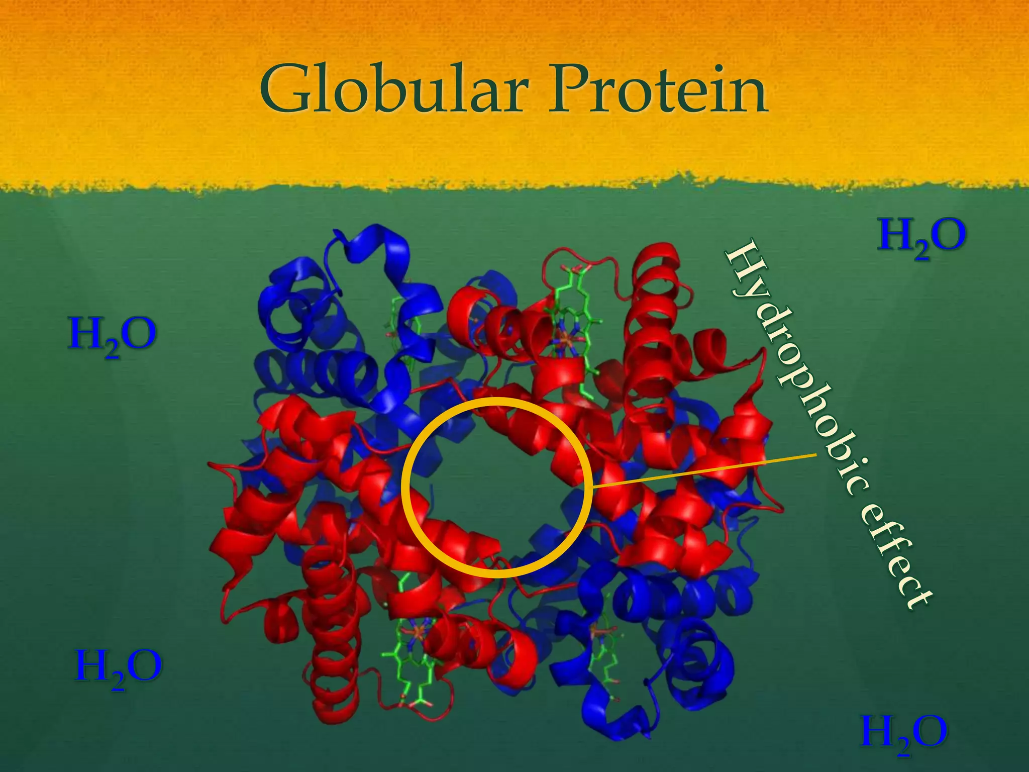 AS Level Biology - 1) Biological Molecules | PPTX