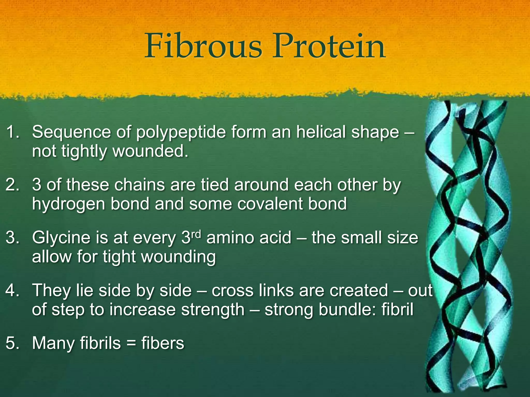 AS Level Biology - 1) Biological Molecules | PPTX