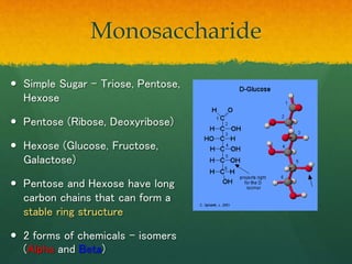 AS Level Biology - 1) Biological Molecules | PPTX
