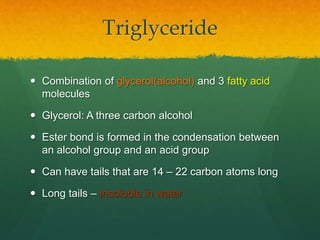 AS Level Biology - 1) Biological Molecules | PPTX