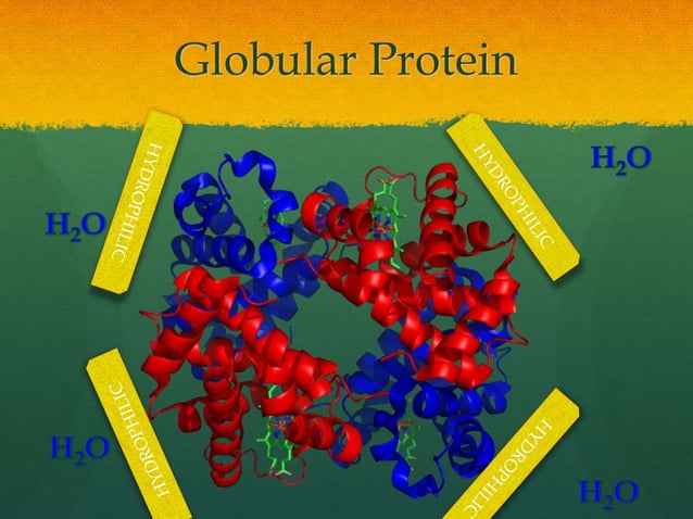 AS Level Biology - 1) Biological Molecules | PPTX