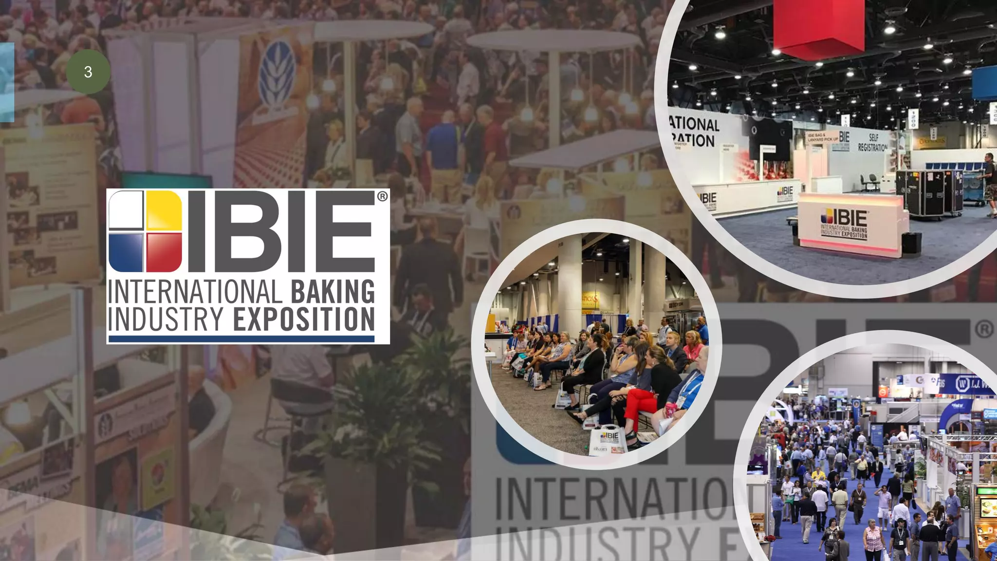 Asb 2019 IBIE review | PPT