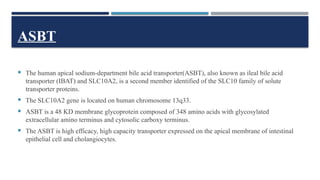 ASBT m pharm 2nd sem computer aided drug delivery | PPT
