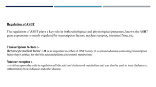 ASBT m pharm 2nd sem computer aided drug delivery | PPT