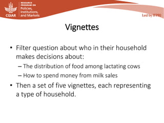 Using vignettes to understand intra-household decision-making | PPTX